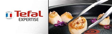 Tefal Expertise Juego de 3 Sartenes aluminio de 21, 24 y 26 cm ...