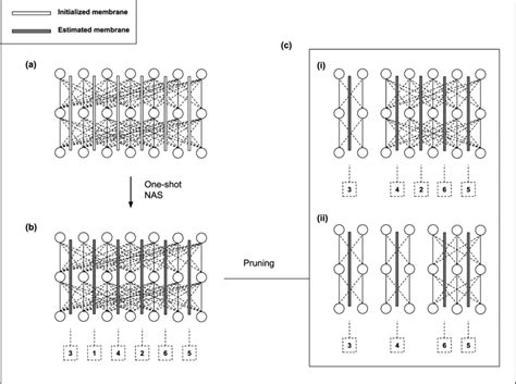 one shot nas of an mpathnn with 3 hidden layers and a width of 7 nodes