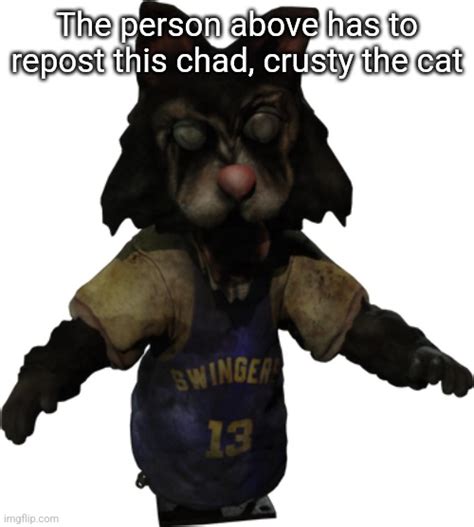 Imgflip