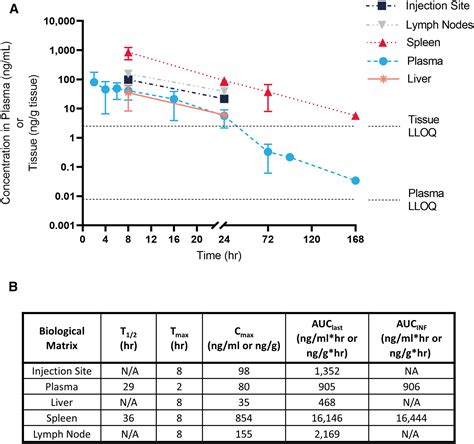 MRNA Vaccine Trafficking And Resulting Protein Expression After