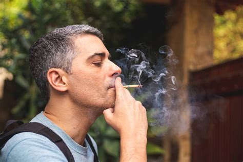 Mito ou verdade cigarro de palha é menos prejudicial à saúde Metrópoles