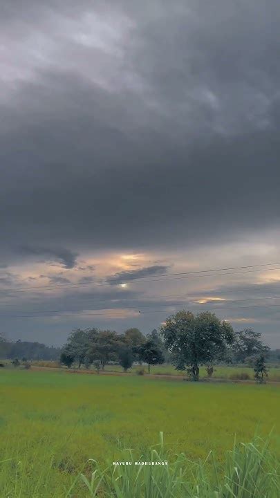 සුන්දර හවස් වරුවක 🍃 ️ Evening Sunset Srilanka 4kvideo Youtube