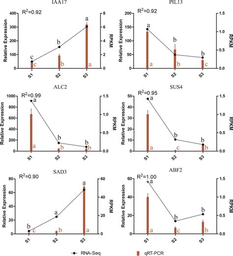 Relative Expression Levels Of Six Selected Genes During Zygotic