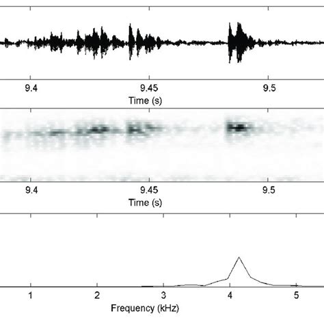 A Sonogram B Spectrogram C Power Spectrum Of The Advertisement Download Scientific Diagram