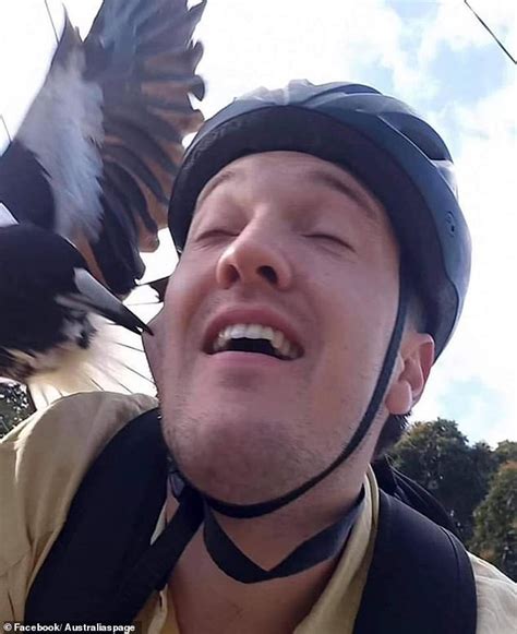 Only In Australia Incredible Photo Captures Bike Rider Attacked By