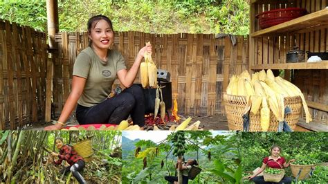 FULL VIDEO 150 Days Harvesting Bamboo Shoots Boiled Corn Bringing To