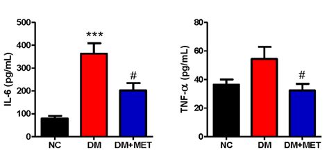 Effect Of Metformin On Plasma Il 6 Level A And Plasma Tnf α Level B