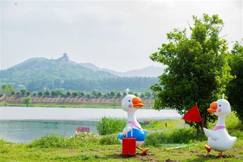 旅游资讯