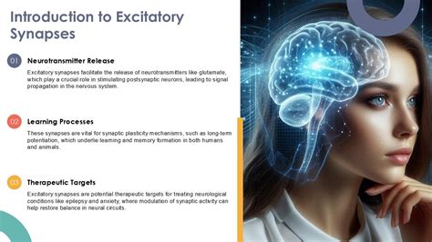 Excitatory Synapse Ppt Outline Acp Ppt Presentation