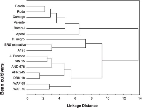 Dendrogram Obtained By Cluster Analysis Of Bean Cultivars Using Wards