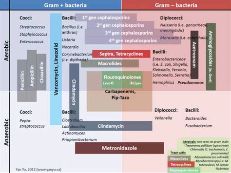 Vinay Shukla On Linkedin Gram And Gram Bacteria And Antibiotic Coverage