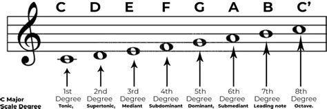 What Are Scale Degrees Powerful Music Theory Tricks 2025