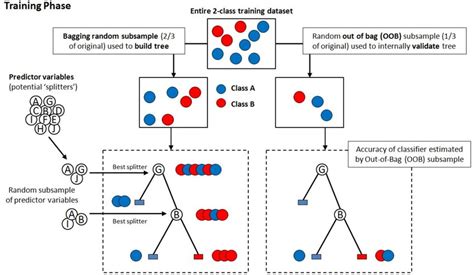 Diagram Of The Random Forests Accuracy Assessment With Oob From Parnell