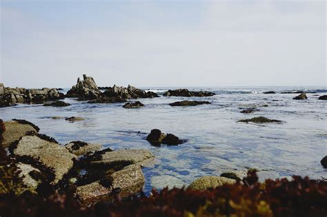 West Coast 2017 Pebble Beach Henhouse Design Co