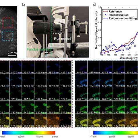 Quantification Of Spatial Resolution A Reconstructed Spectral Images