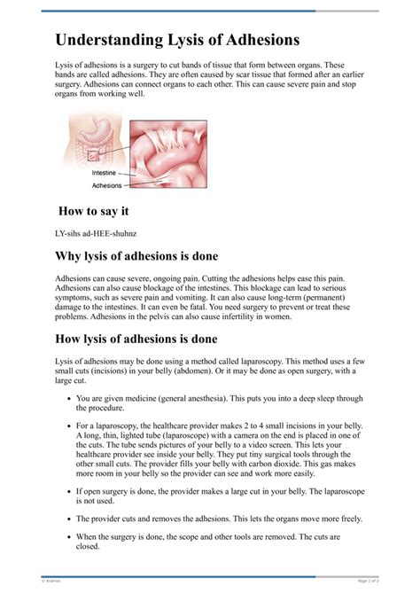 Text Understanding Lysis Of Adhesions Healthclips Online