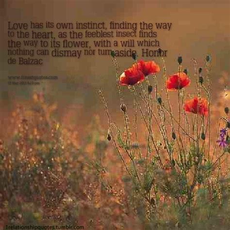 Commitment Relationship Quotes Distance Quotesgram