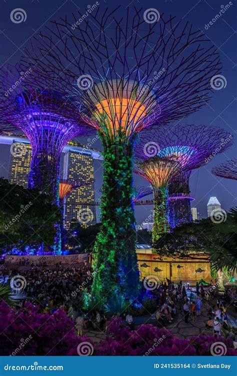 Garden Rhapsody Light Show At The Supertree Grove Gardens By The Bay