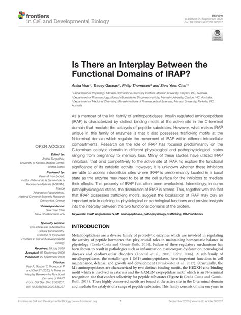 Pdf Is There An Interplay Between The Functional Domains Of Irap