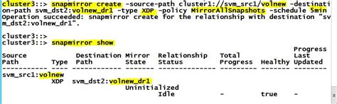 Remote Infrastructure Management