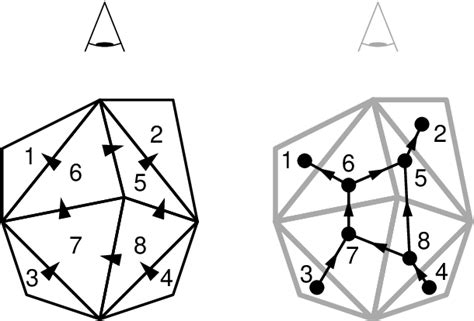 Figure 1 From Cell Projection Of Cyclic Meshes Semantic Scholar
