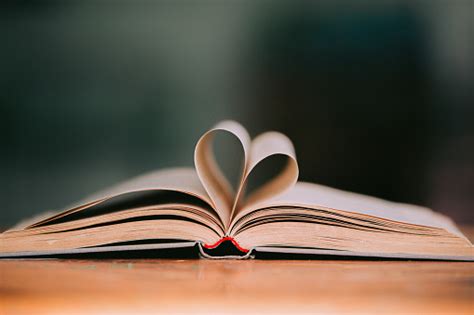 오래된 책 페이지는 흐릿한 배경과 빈티지 톤 스타일로 발렌타인 데이에 사랑에 대한 하트 모양으로 장식합니다 열린 책의 마음으로 사랑의 구성 책의 사랑 도서관 교육 텍스트의