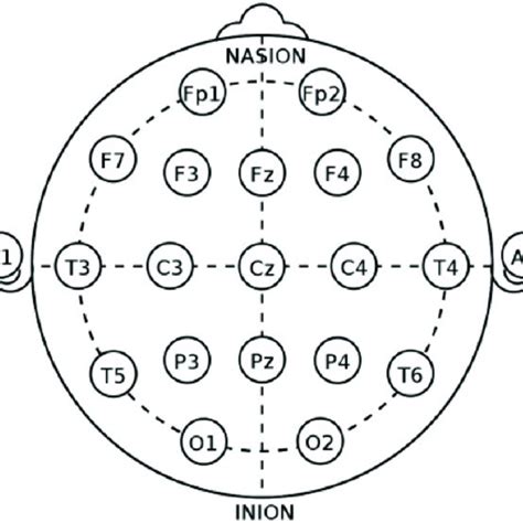 The 10 20 International System Of Eeg Electrodes Placement