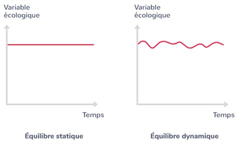 Les écosystèmes Des Interactions Dynamiques Entre Les êtres Vivants