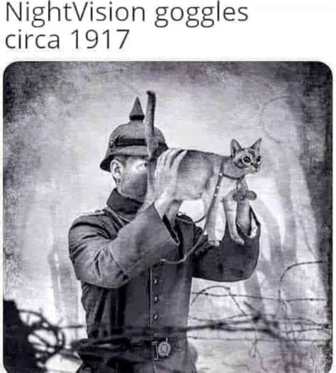 Who Knew 😂 Nightvision Cat Technology Science Ninjamitton Funny