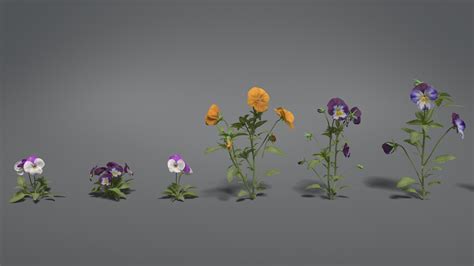 Pansy VFX Grace VFX Grace