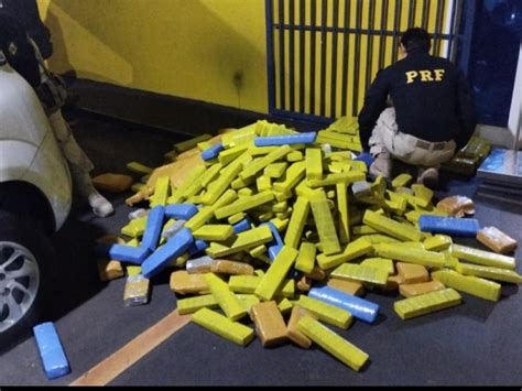 Fiscalização Da Prf Apreende 453kg De Maconha Na Br 153 Giro Marília