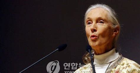 아프리카는 76침팬지·고릴라 연구에 일생 바친 두 여성비극적 죽음도