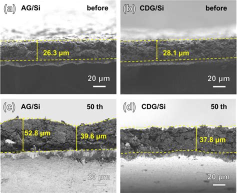 Cross Sectional SEM Images Of Electrodes With Different Composite A