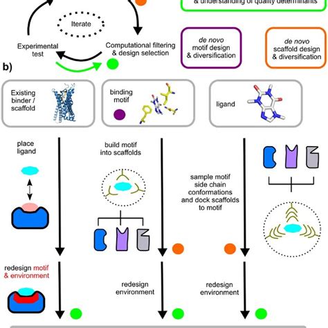 Schematic Depicting Key Advances In Computational Protein Design These Download Scientific