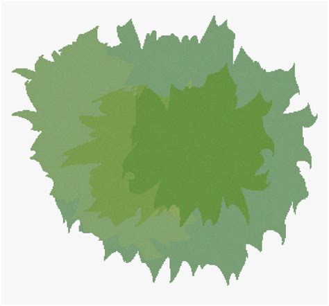 Birds Eye View Tree