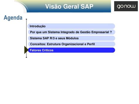Visao Geral Sistema Erp Sap