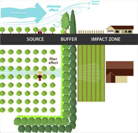 The Two Faces Of The Vegetated Buffer British Columbia Organic Grower