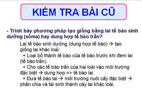 Bài giảng Tạo giống nhờ công nghệ gen Sinh học Thư viện bài giảng Sinh học VnDoc