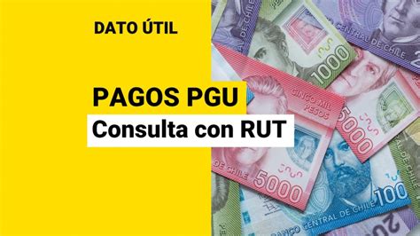 Pago De La Pgu Consulta Con Tu Rut La Fecha En Que Recibes Los 193
