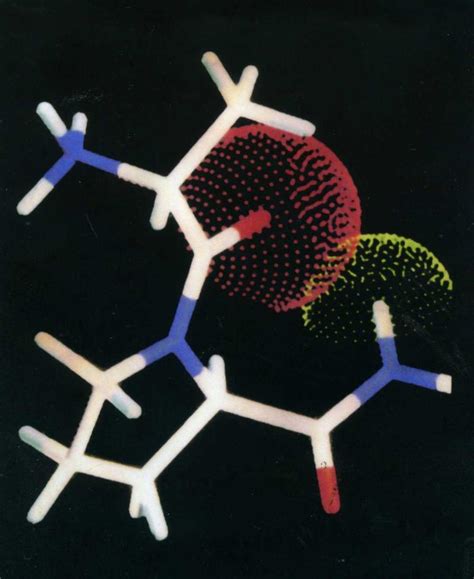 Dipeptidyl Peptidase 4 Dpp 4 Inhibitors Market By Brand