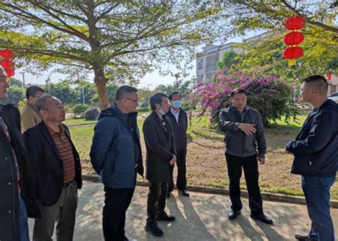 县委副书记林挺率队到港门镇开展调研考察工作遂溪县人民政府公众网站