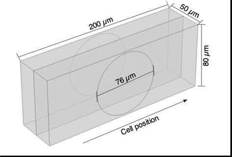 Figure A1 Schematic Diagram Of The Model Geometry Representing The