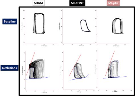 Invasive Pressure Volume Relationship Representative Loops For The Download Scientific Diagram