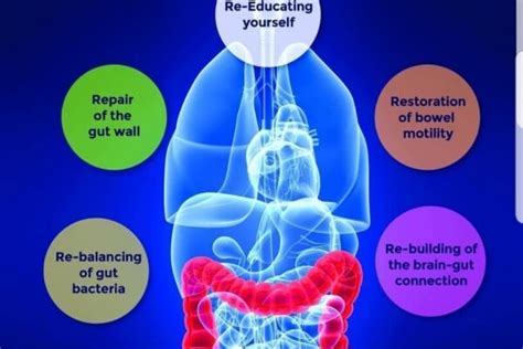 Colonic Toronto Colon Cleansing Clinic ☑️ Top Rated In Toronto