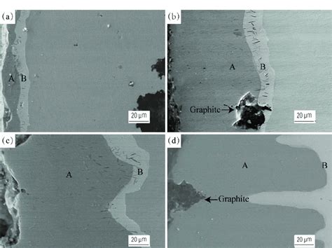 The Cross Sectional Microstructures Of Aluminizing Samples At A 800