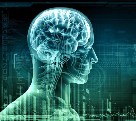 Nervous System Background Powerpoint Nerve Presentation Template For