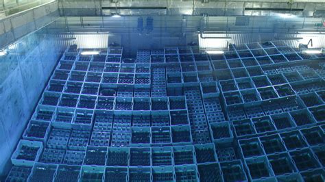 Us To Recover Worlds Only Supply Of Rare Plutonium From Cold War