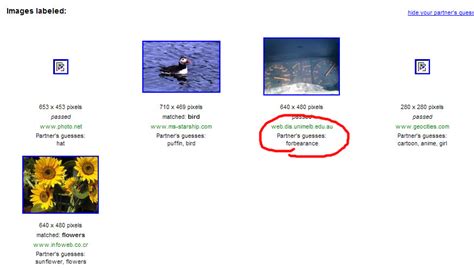 Google Image Labeler Hacks