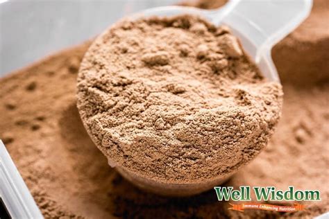 The Best Whey Protein For Women To Bolster Fitness And Health