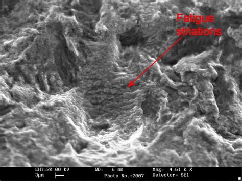 SEM Micrograph Identifying Features Consistent With Fatigue Fracture